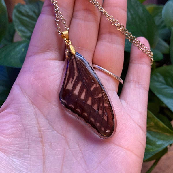 Real Preserved Butterfly Wing Necklace - Etsy