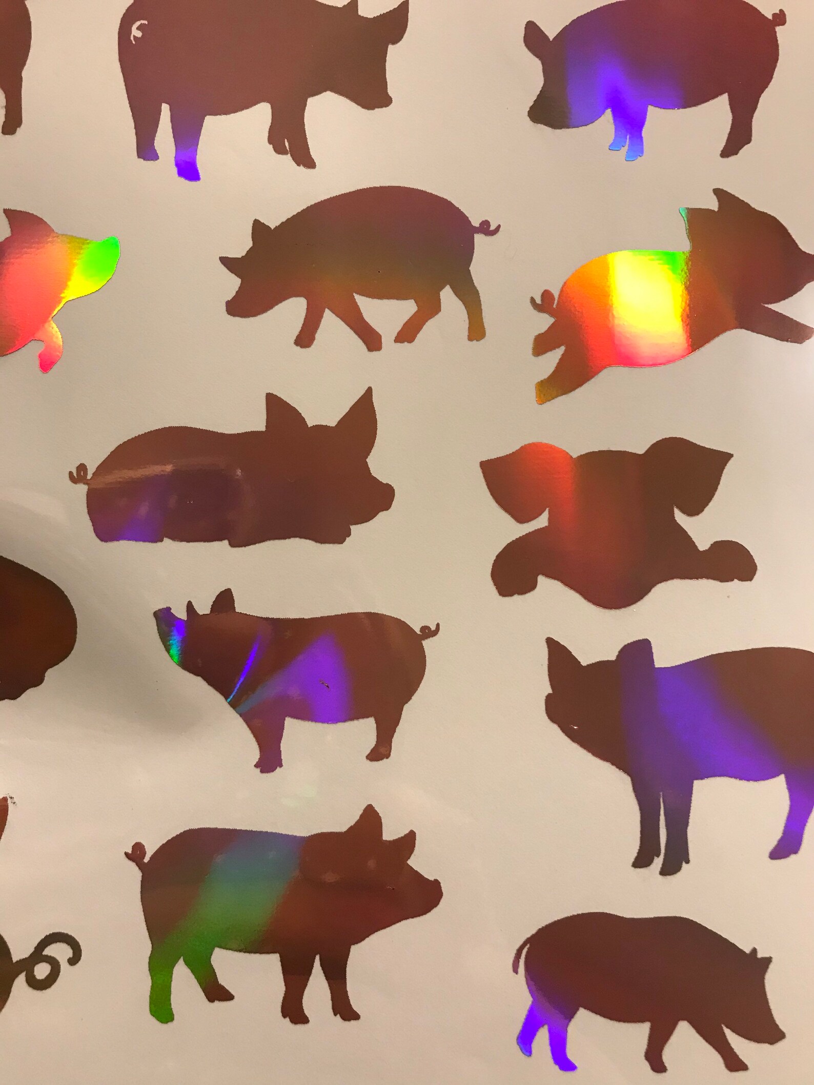 Resin Foil Pigs Full Size Transparency Sheet - Etsy