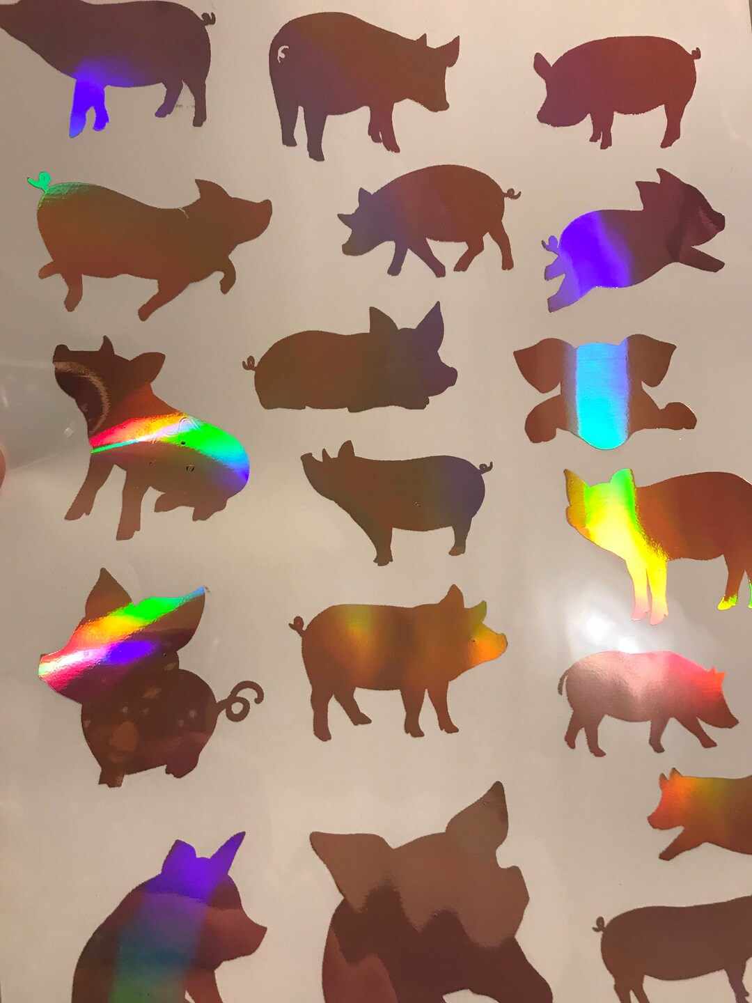 Resin Foil Pigs Full Size Transparency Sheet - Etsy