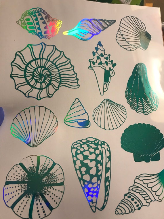 Resin Foil Large Shells Full Size Transparency Sheet - Etsy