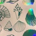 Resin Foil Large Shells Full Size Transparency Sheet - Etsy