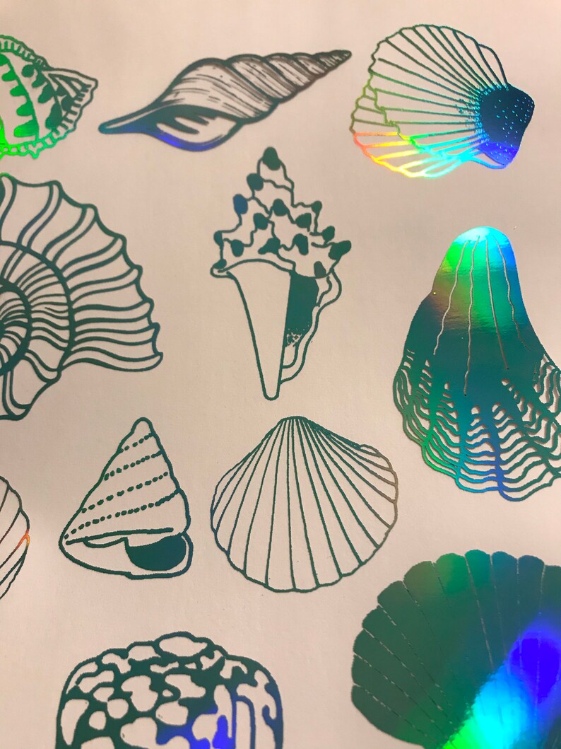 Resin Foil Large Shells Full Size Transparency Sheet - Etsy