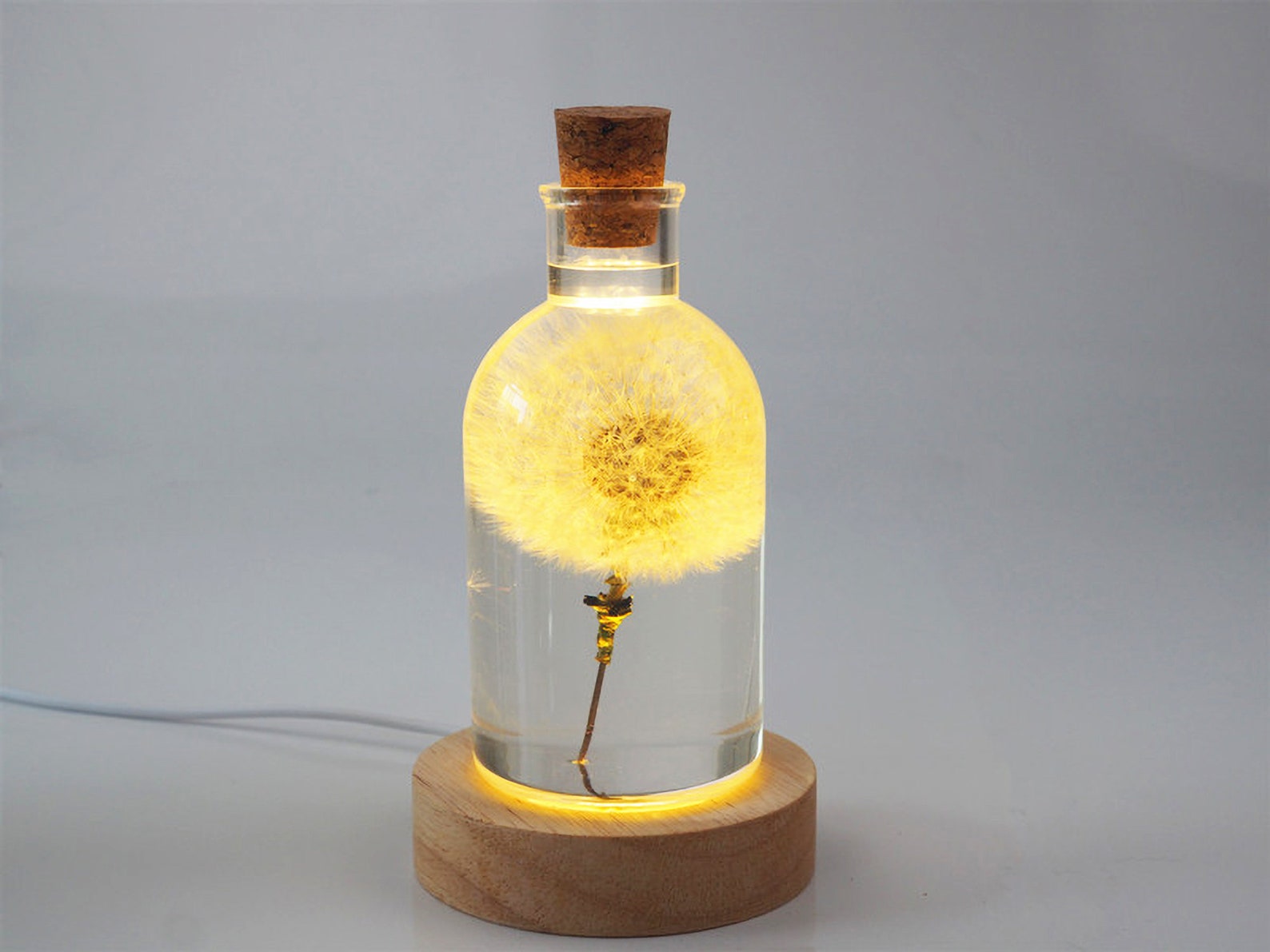 LED Night Light Resin Mold Bottle Night Lights Lamp Silicone | Etsy