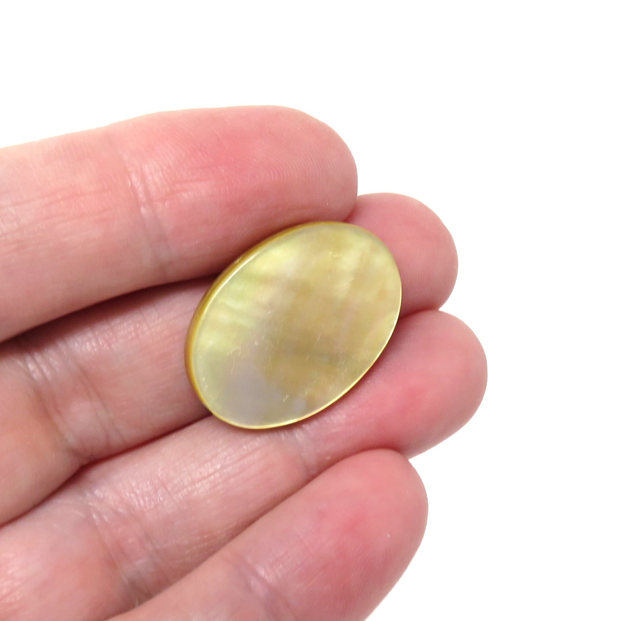 Oval Flat Gold Lip Shell Beads 25mmx18mm Sold in Packs of - Etsy