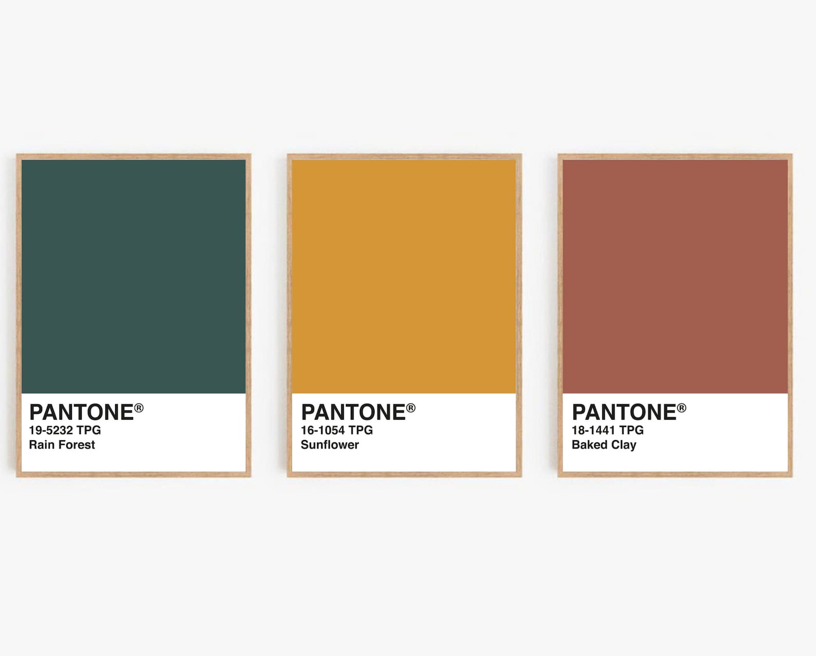 Boho wall art set of 3 Pantone print set Pantone color card | Etsy