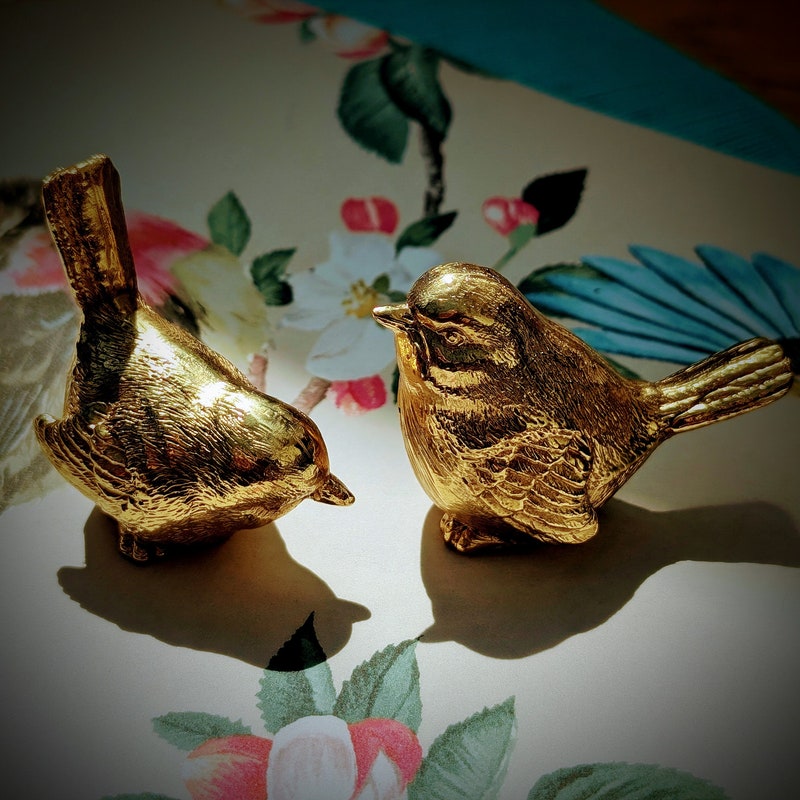 Bird Door Knobs - Etsy