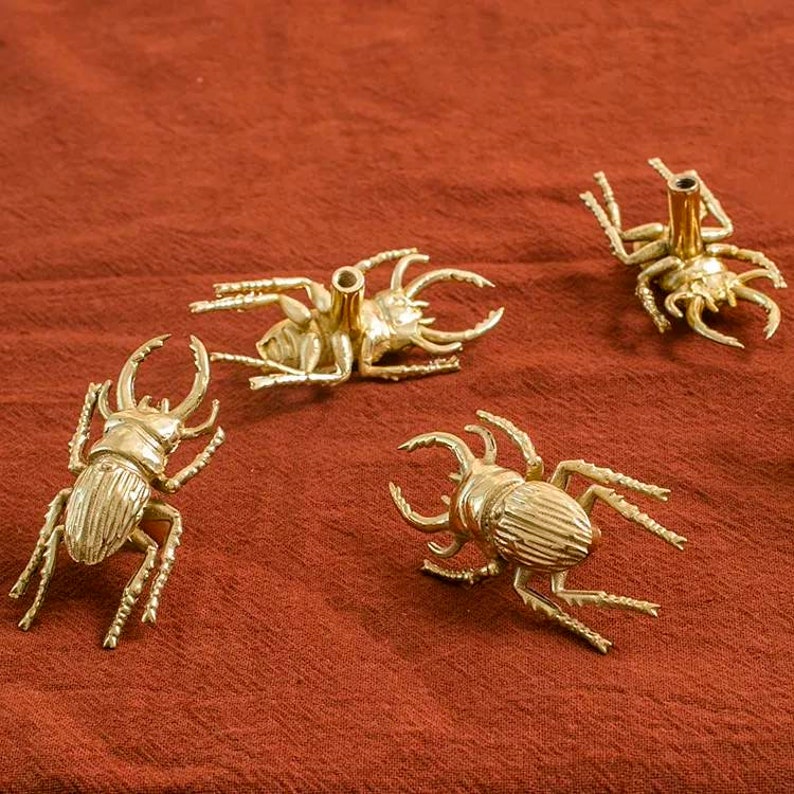 Gold Stag Beetle Knob/bug Shaped Cabinet Drawer Pull/insect - Etsy
