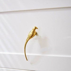 Small Solid Brass Parrot Cabinet Pull/gold Bird Shaped Door Handle ...