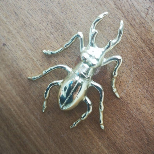 Gold Stag Beetle Knob/bug Shaped Cabinet Drawer Pull/insect - Etsy