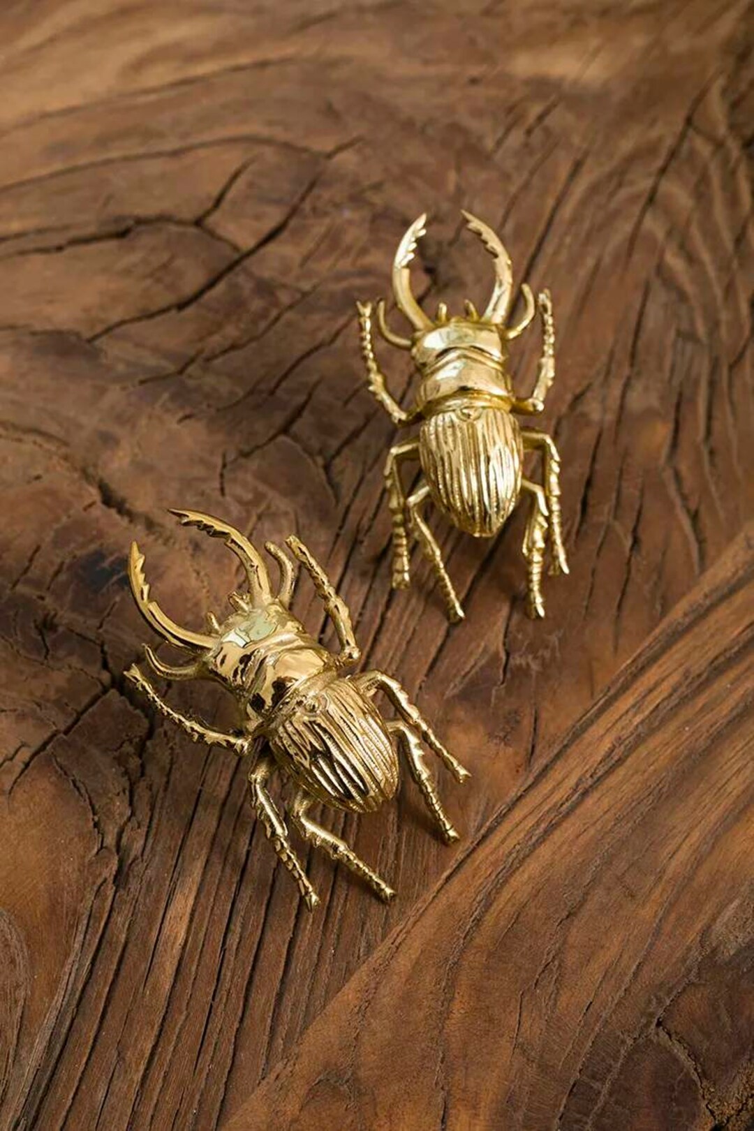 Gold Stag Beetle Knob/bug Shaped Cabinet Drawer Pull/insect Shaped Door ...