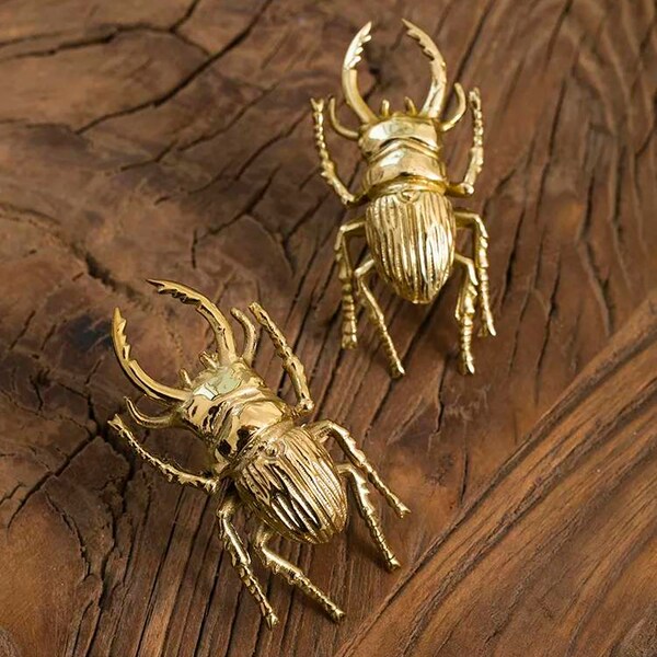 Insect Drawer Knobs - Etsy