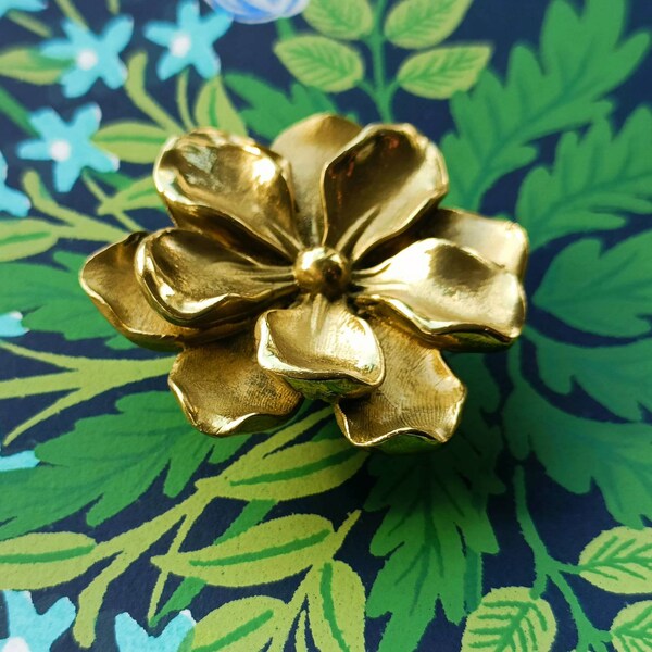 Antique Brass Knob - Etsy