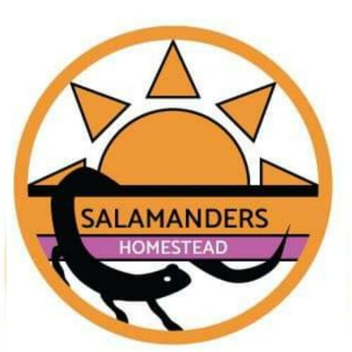 SalamandersGiftShop - Etsy