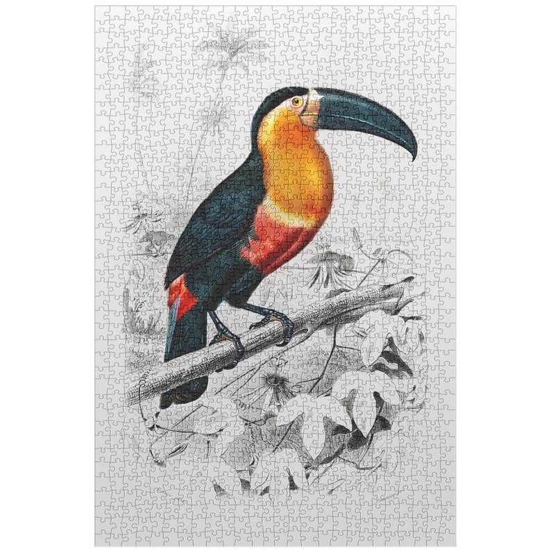 1000 Piece Jigsaw Puzzle for Adults : Toucan ramphastos - Etsy