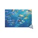 1,000 Piece Jigsaw Puzzle for Adults : School Sea Fish Are Swimming ...