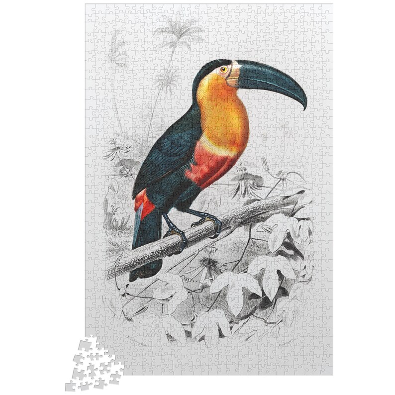 1,000 Piece Jigsaw Puzzle for Adults : Toucan (ramphastos) Illustrated ...