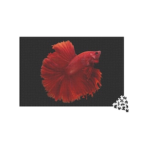 1,000 Piece Jigsaw Puzzle for Adults : Halfmoon Betta Fish Pz 065 - Etsy