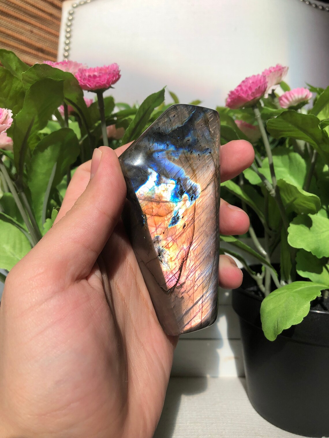 UNIQUE Pinky Peach Rainbow Flash Labradorite Freeform One of - Etsy