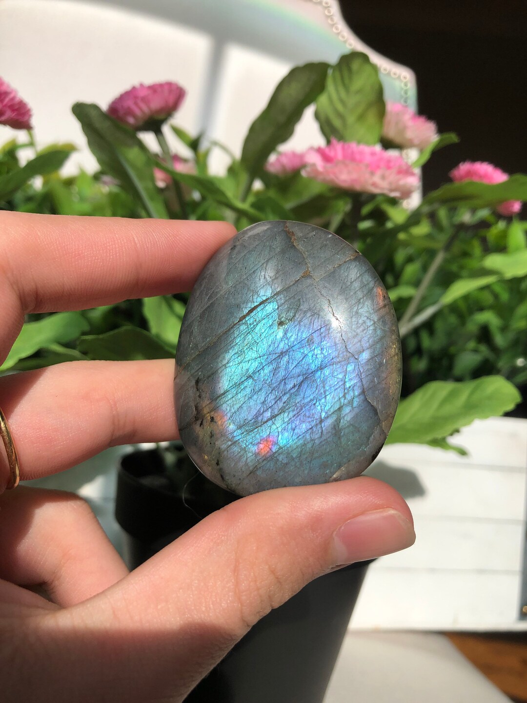 UNIQUE Teal and Gold Rainbow Full Flash Labradorite Palmstone - Etsy