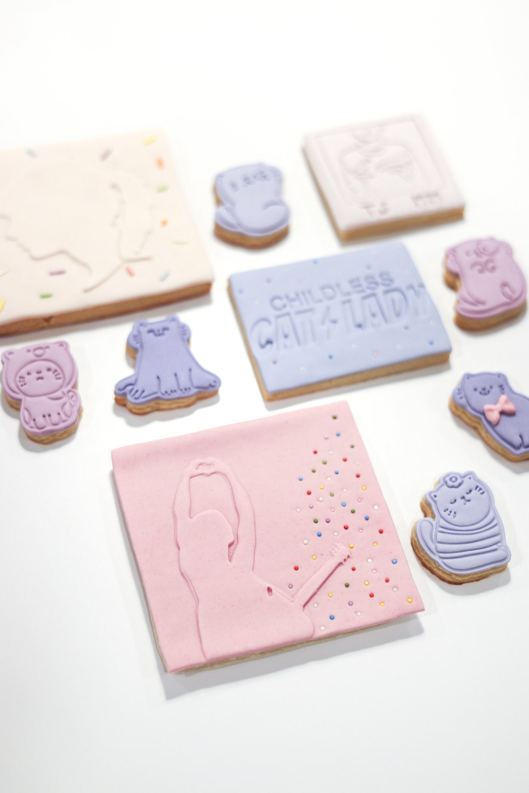 Taylor Swift Cookies Swiftie Gift Box Cookies Childless Cat Lady Eras ...