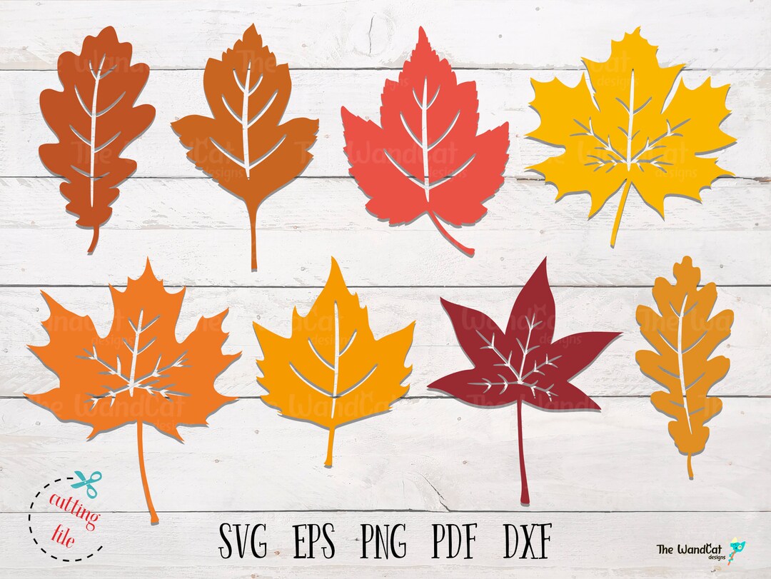 Fall Leaves SVG Cut File, Leaves Bundle SVG, Autumn Leaf Cut File for ...