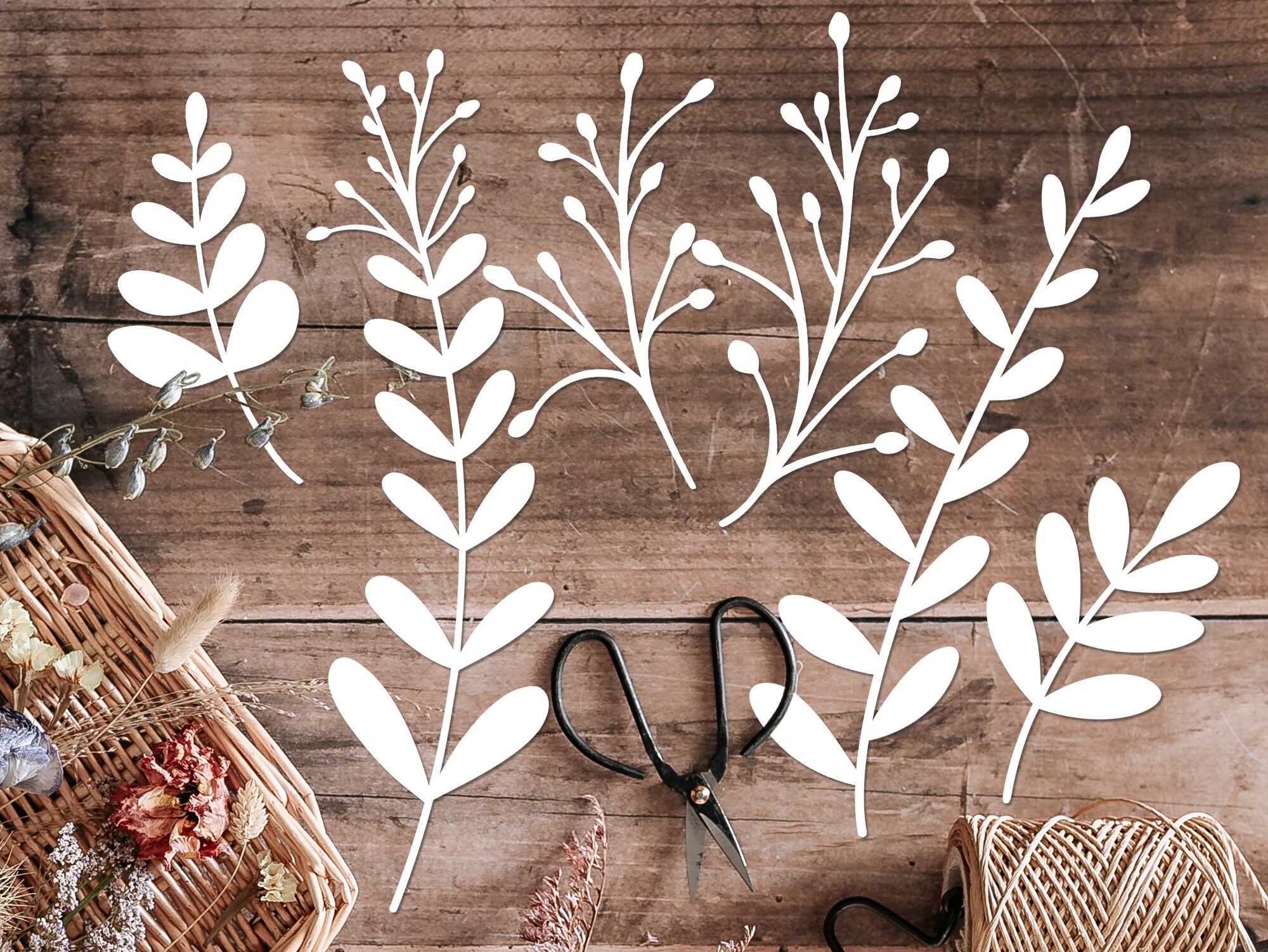 Leaves and Branches Svg Cut File for Cricut and Silhouette, Instant ...