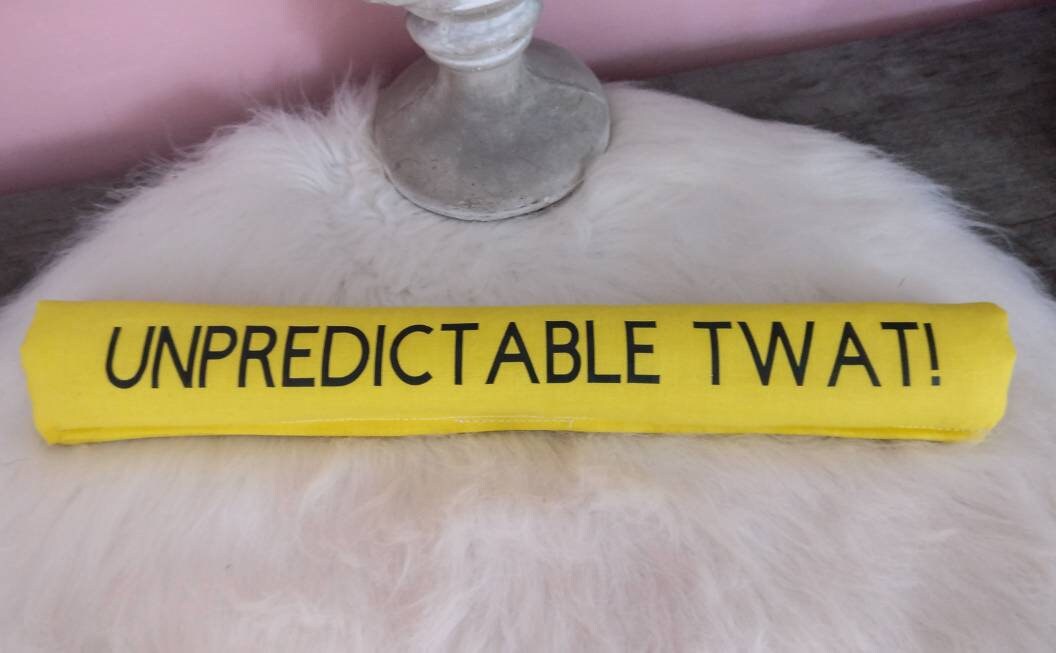 Leash Covers. Nervous Naughty Aggressive Warning Rescue | Etsy