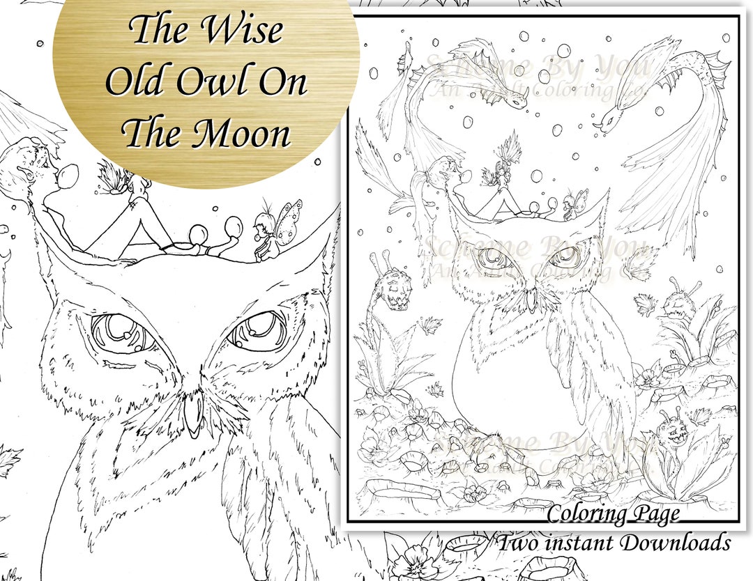 Magical Owl Moon Coloring Page: Flying Fish Fantasy (digital Download ...