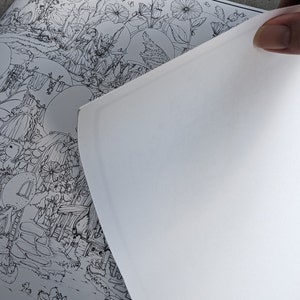 Whimsical Fairy Coloring Poster Poster on Premium Matte Paper - Perfect ...