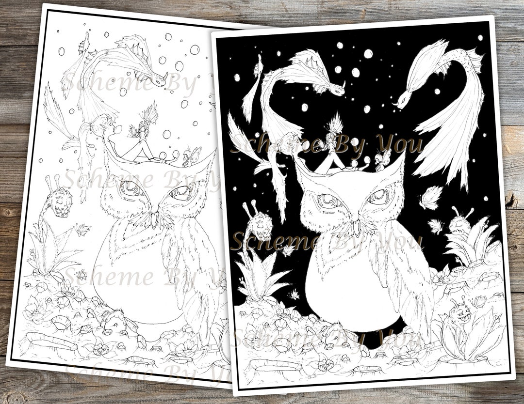 The Wise Old Owl Coloring Page / One Black One White / Instant Download ...