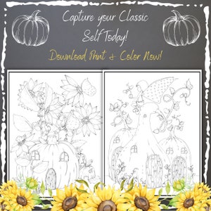 10 Whimsical Classic Fairy Tale Coloring Pages With Quilted Wings ...