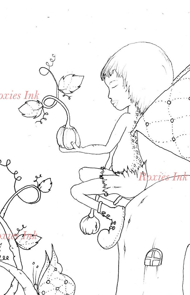 Fairy's Gourd House Coloring Page printable Adult - Etsy