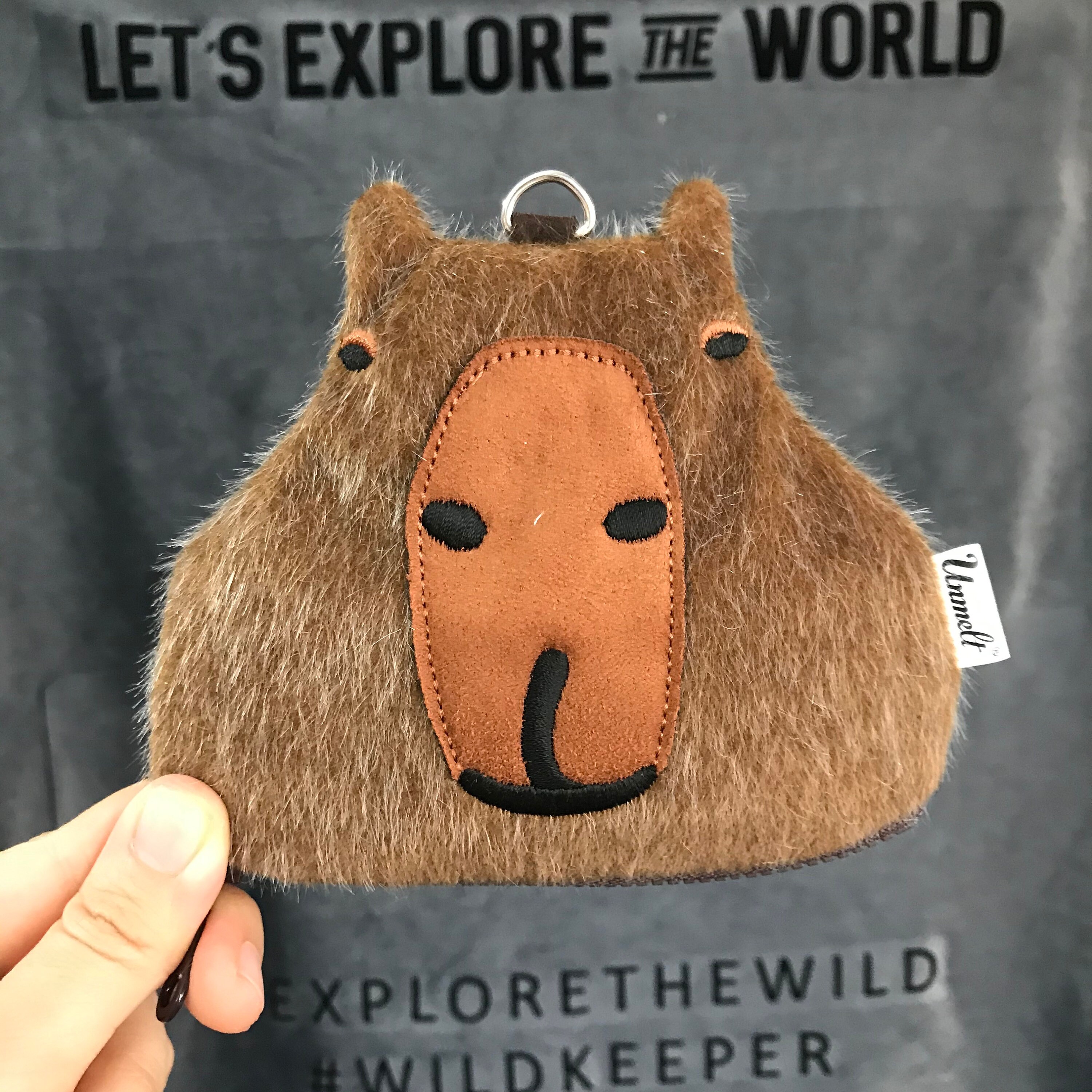 Capybara Key Pouch / Small Functional Bag / Purse /key&card - Etsy ...