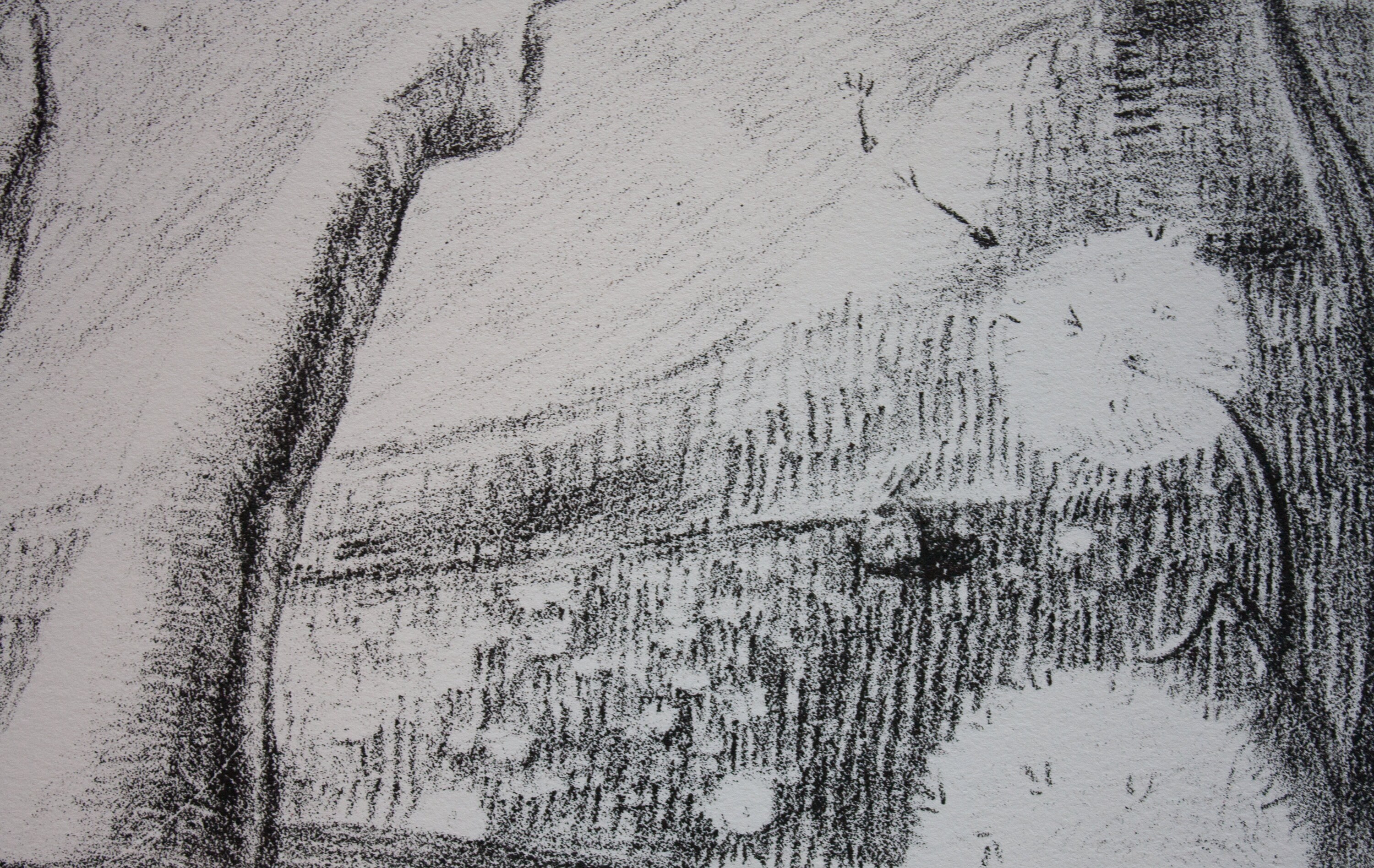Engulfed | SIGNED ORIGINAL Lithography Print - Etsy