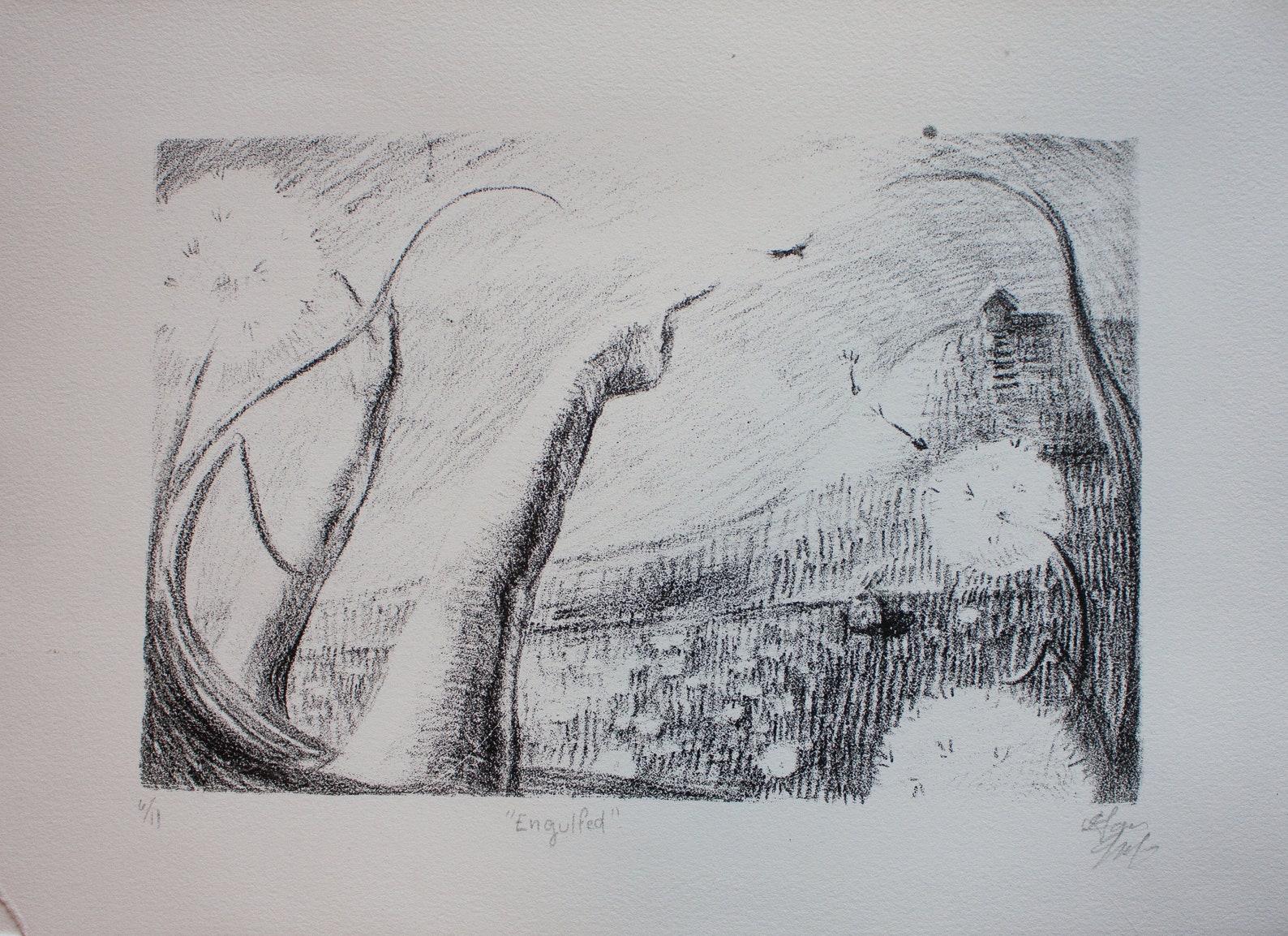Engulfed | SIGNED ORIGINAL Lithography Print - Etsy
