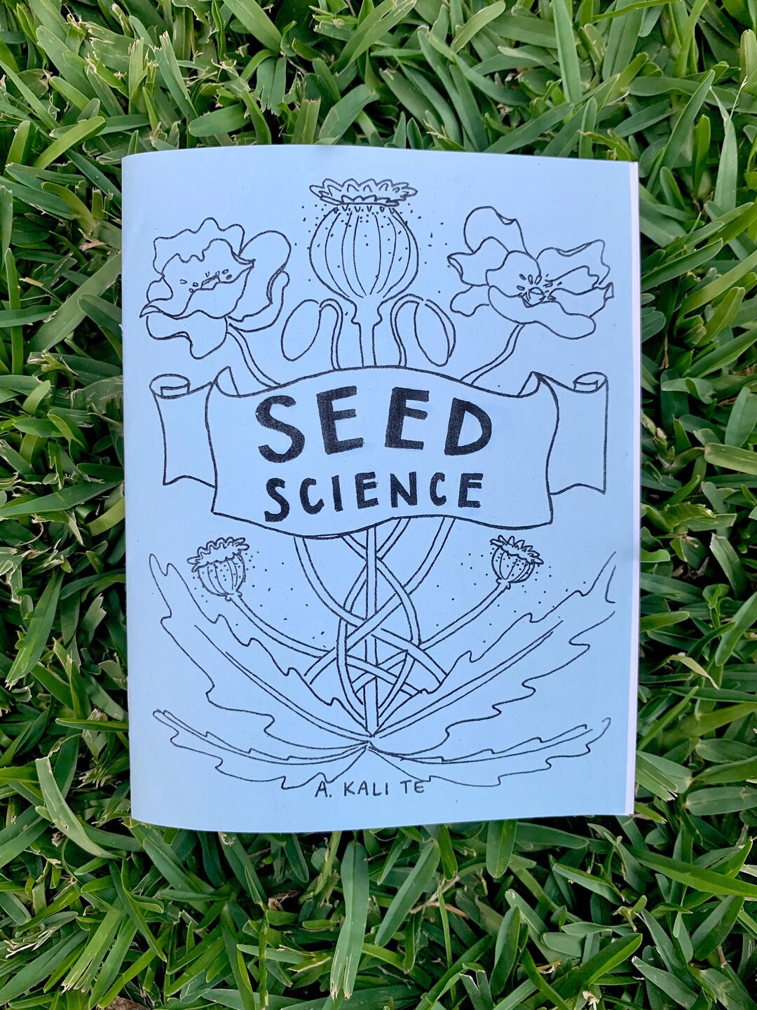 SEED SCIENCE: Educational Botany Zine - Etsy