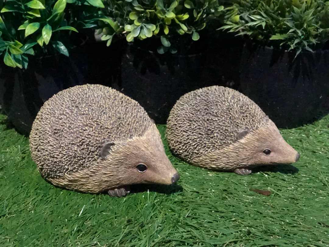 Set of Two Garden Hedgehogs Garden Ornaments Garden Gift, Hedgehog ...