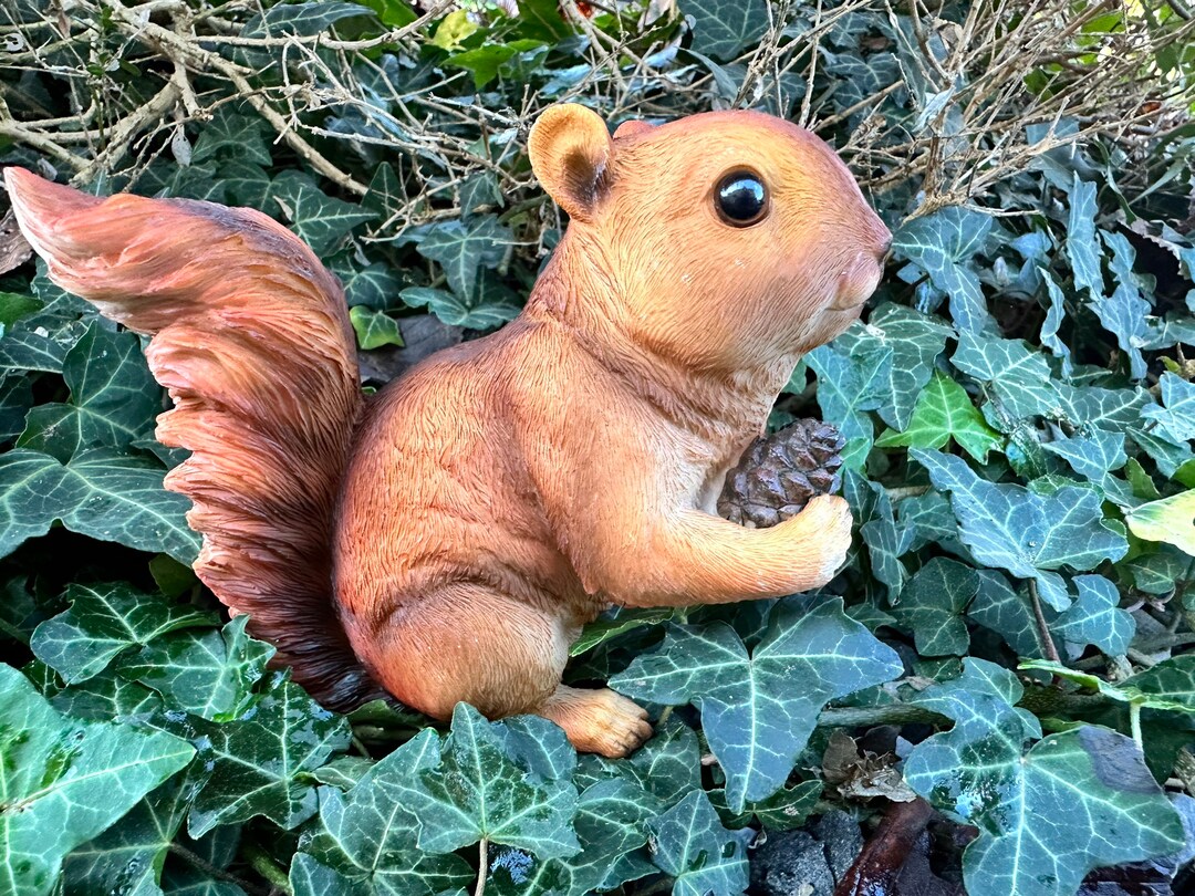 Squirrel Garden Ornament, Squirrel Gifts , Garden Gifts, Animal ...