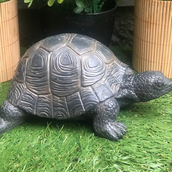 Tortoise Gifts - 60+ Gift Ideas for 2024