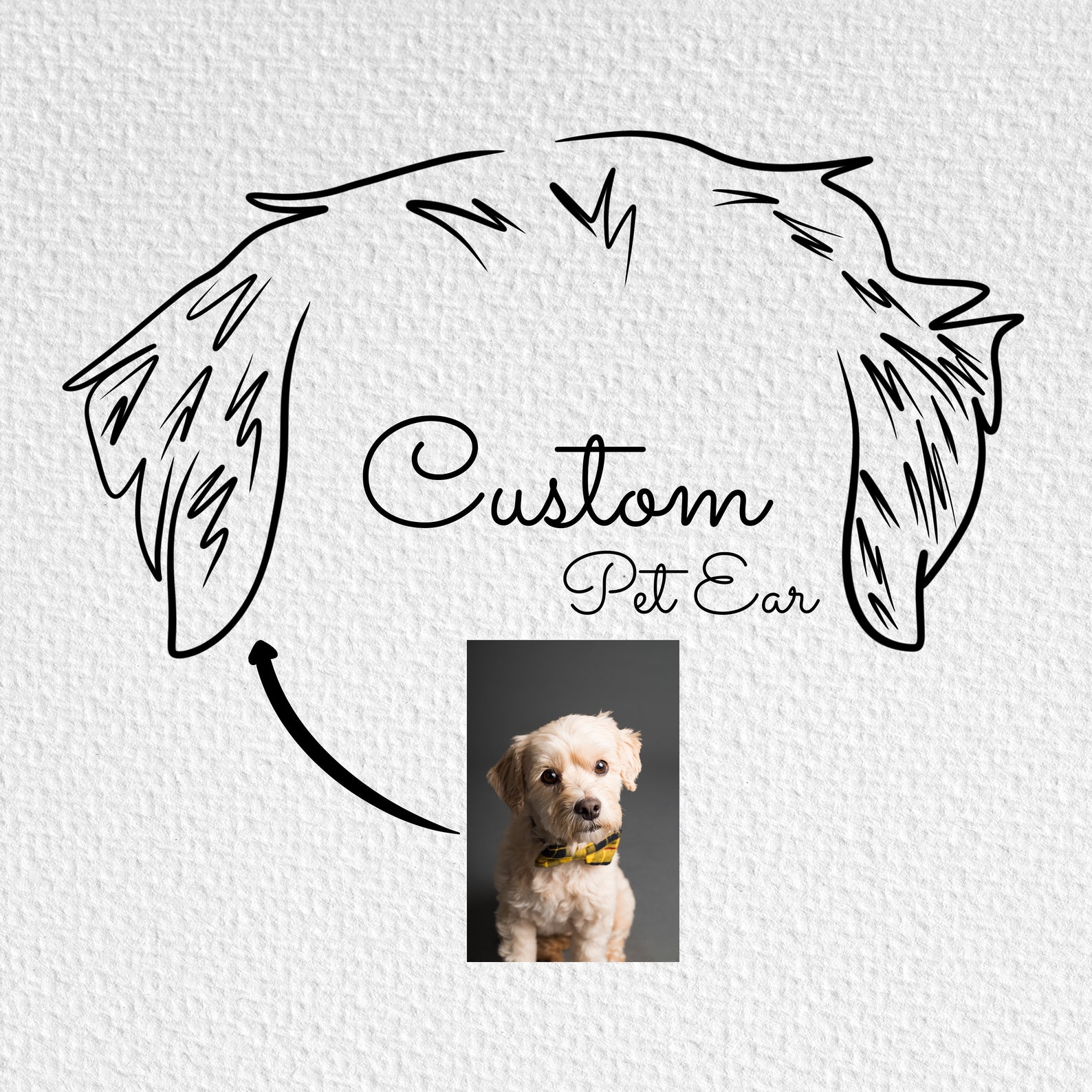 Custom Pet Face Ear Outline Drawing Dog Drawing Pet Ear - Etsy