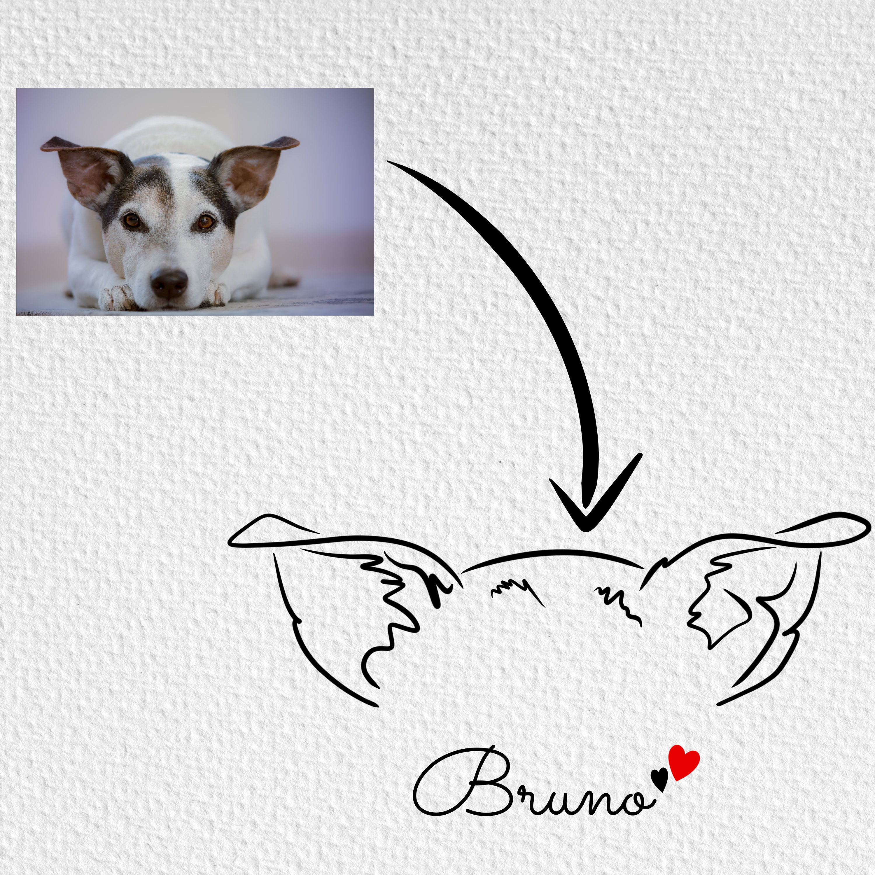 Custom Pet Face Ear Outline Drawing Dog Drawing Pet Ear - Etsy