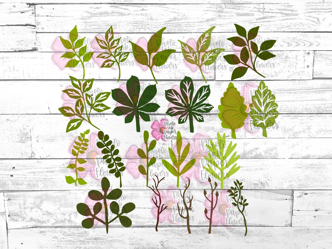 Leaf Bundle 2 Digital File | SVG | PNG | DXF | Svg Leaf | Cricut ...