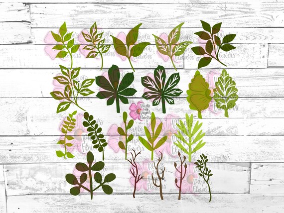 Leaf Bundle 2 Digital File SVG PNG DXF Svg Leaf - Etsy