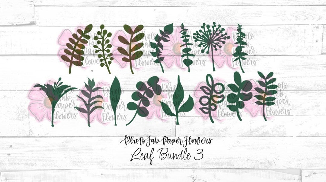 Leaf Bundle 3 Digital File | SVG | PNG | Svg Leaf | Cricut Cutting ...