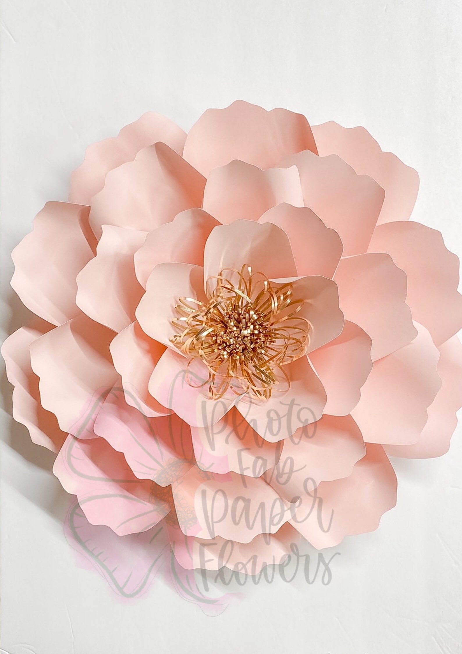 Large Cosmos Paper Flower Template Digital File | SVG/PNG/PDF | Paper ...