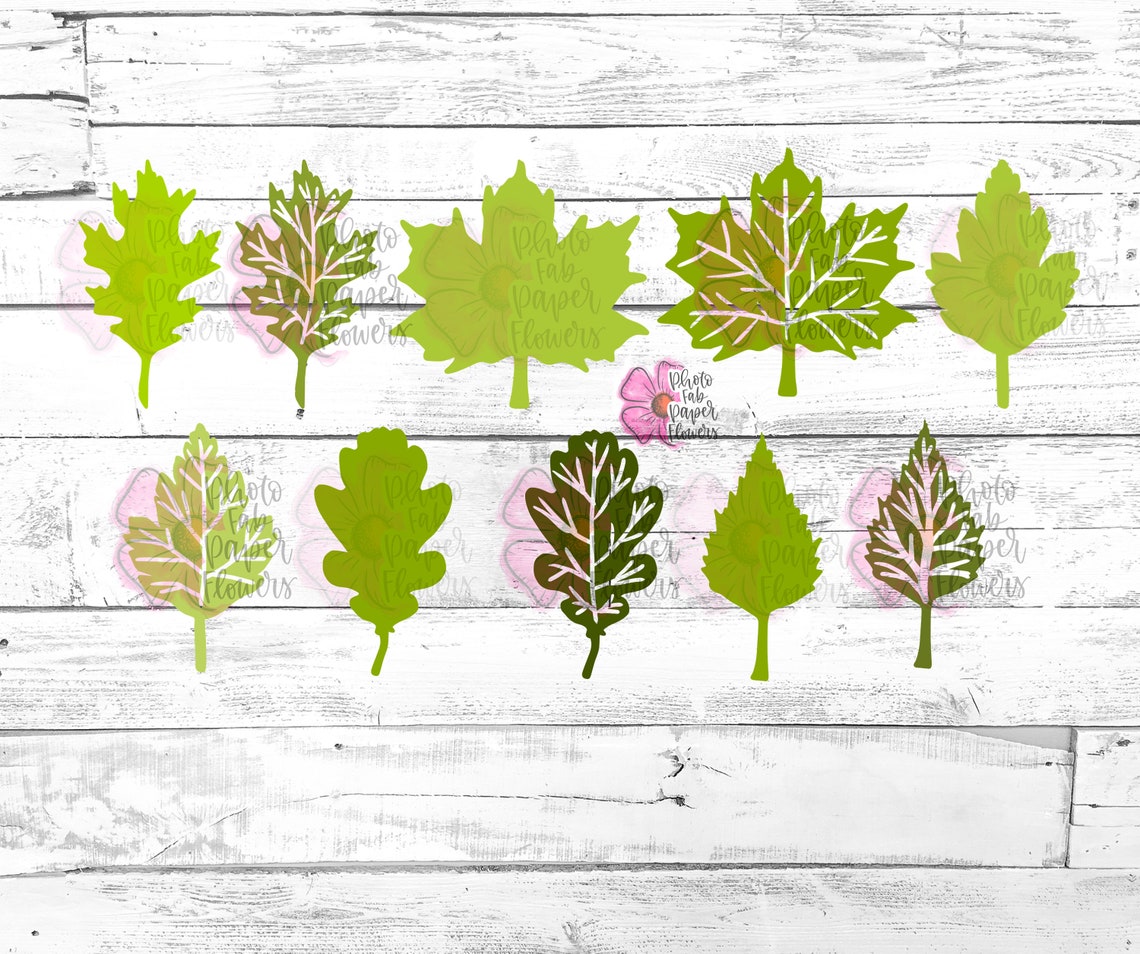 Fall Leaf Bundle Digital File SVG PNG DXF Svg Leaf | Etsy
