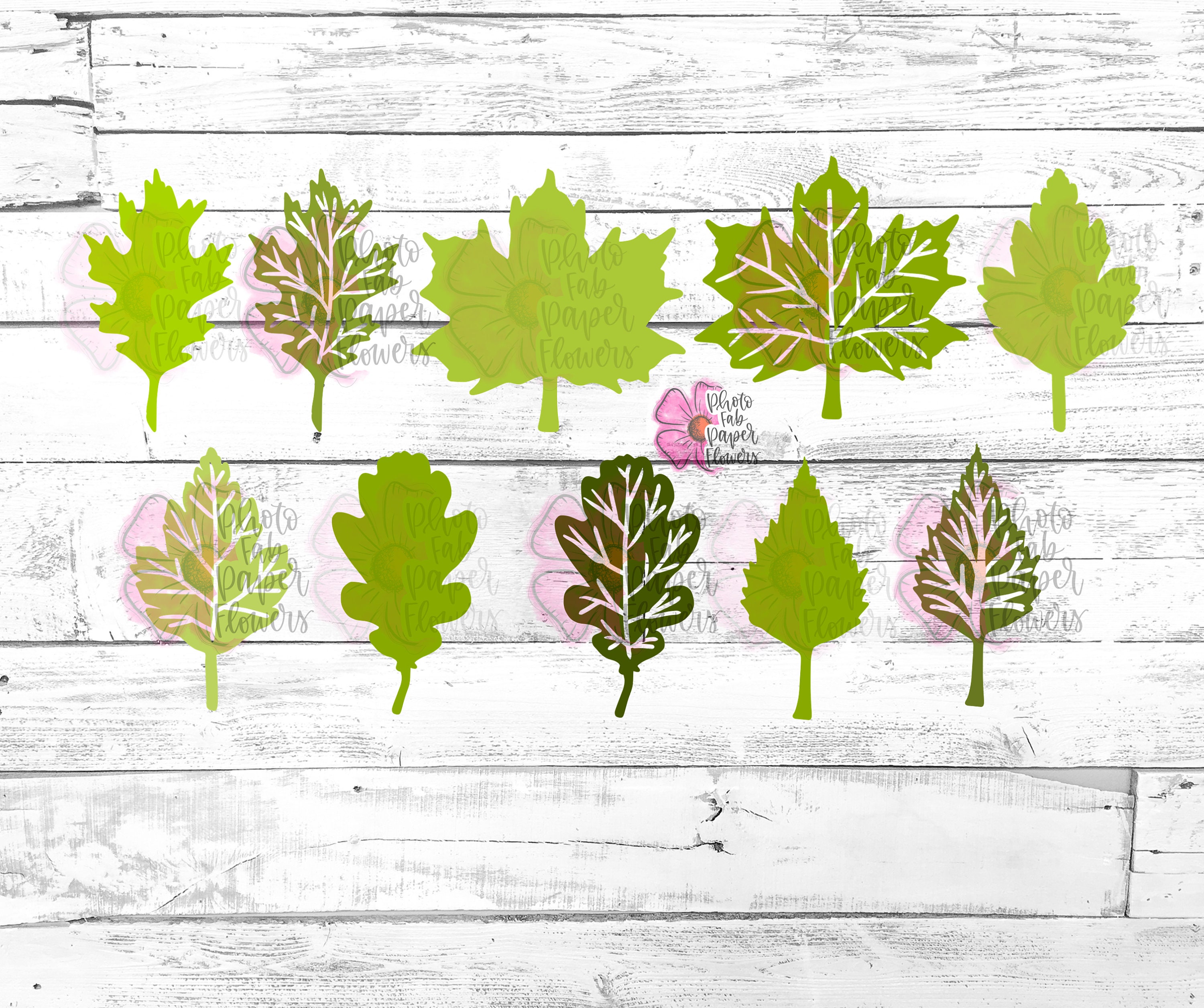 Fall Leaf Bundle Digital File SVG PNG DXF Svg Leaf - Etsy