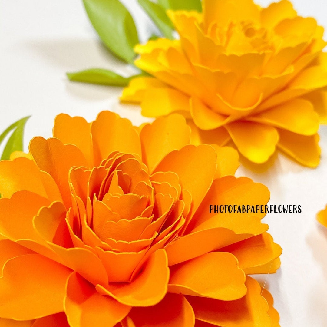 Template 2 Mini Paper Flower Digital File | PNG | SVG| PDF| Paper ...
