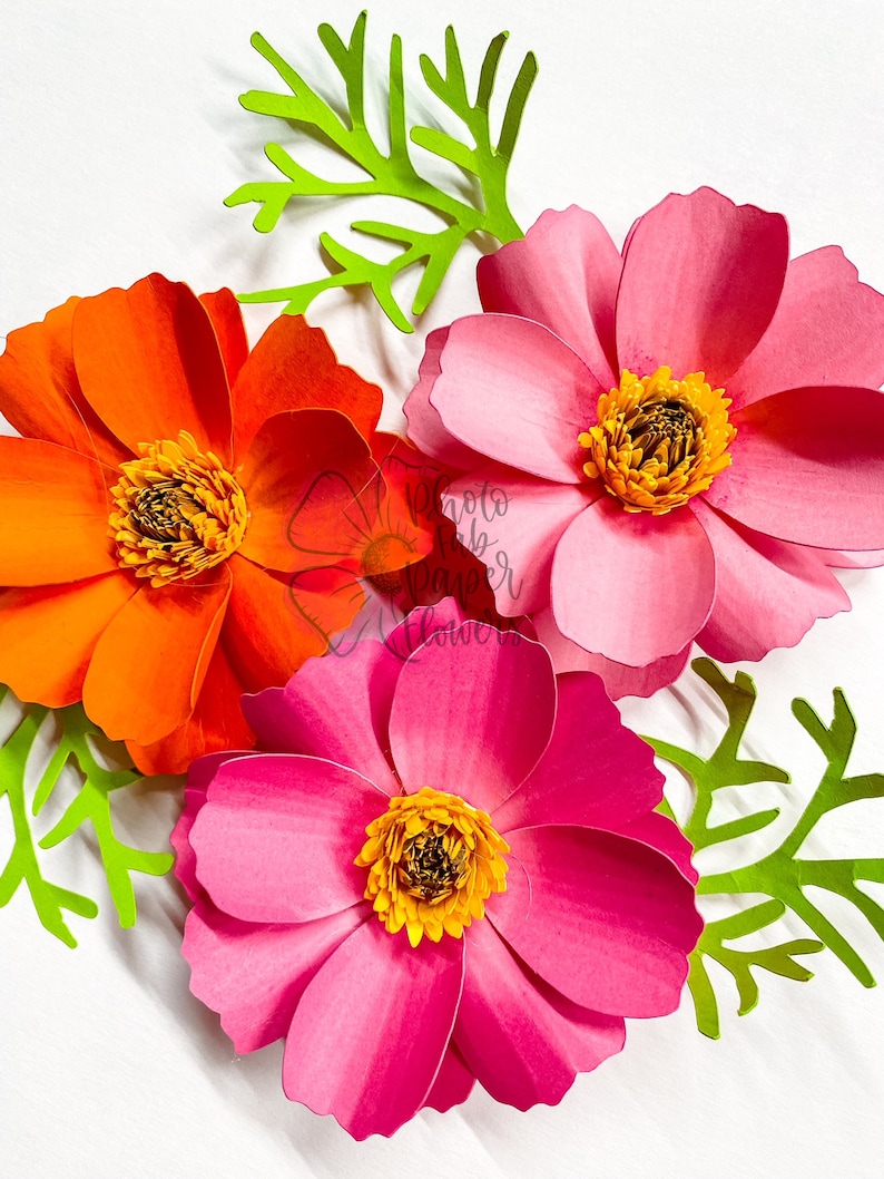 Cosmos Mini Paper Flower Digital File PNG SVG PDF dxf - Etsy