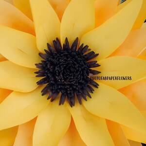 Large Paper Sunflower Template Digital File | PDF/SVG/PNG | Paper ...
